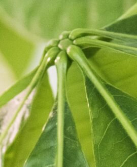 Oispa pullaa! | Vaasan Sähkö