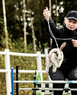 Oispa pullaa! | Vaasan Sähkö